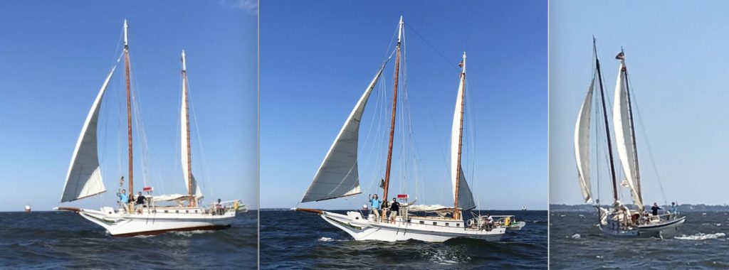 Craighill Entrance – JOLLY DOLPHIN